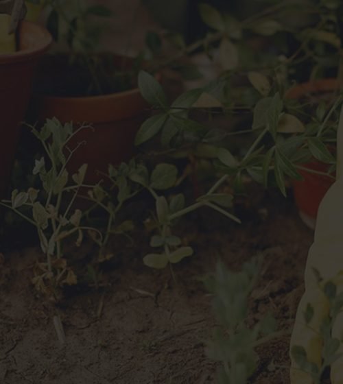 Our Events - NOON GLOBAL ENGINEERS (PV T ) LTD.